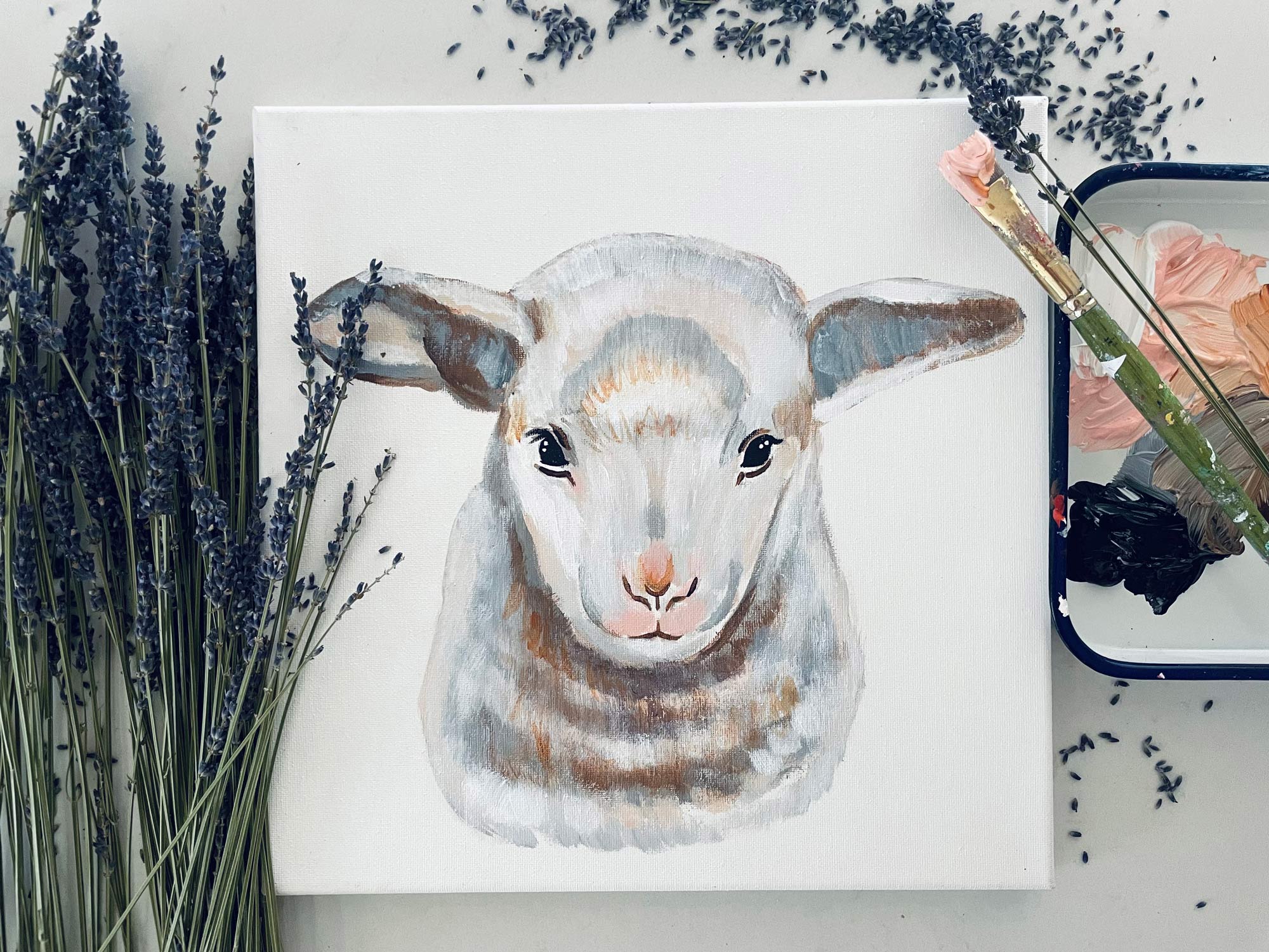 Lavender the Lamb - Brooklyn Lamb